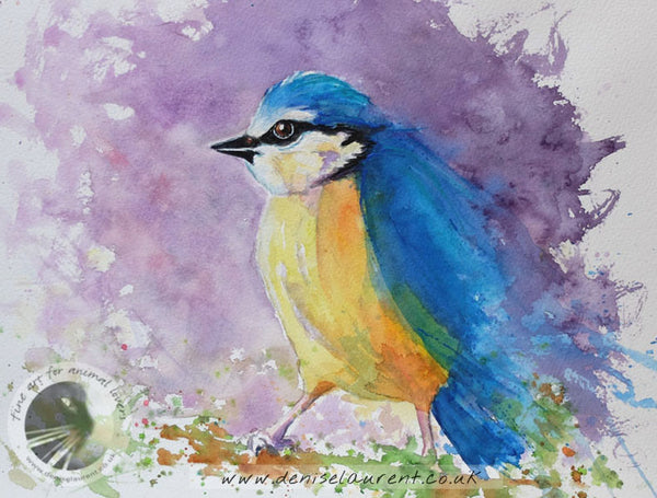 Fat Blue Tit - 16"x12" Watercolour Painting - Denise Laurent Art